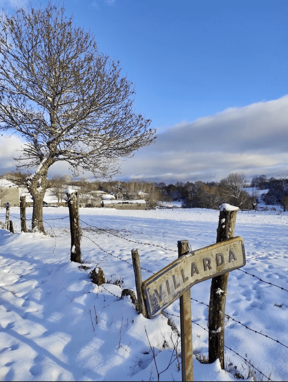 Museo Internacional de la Billarda